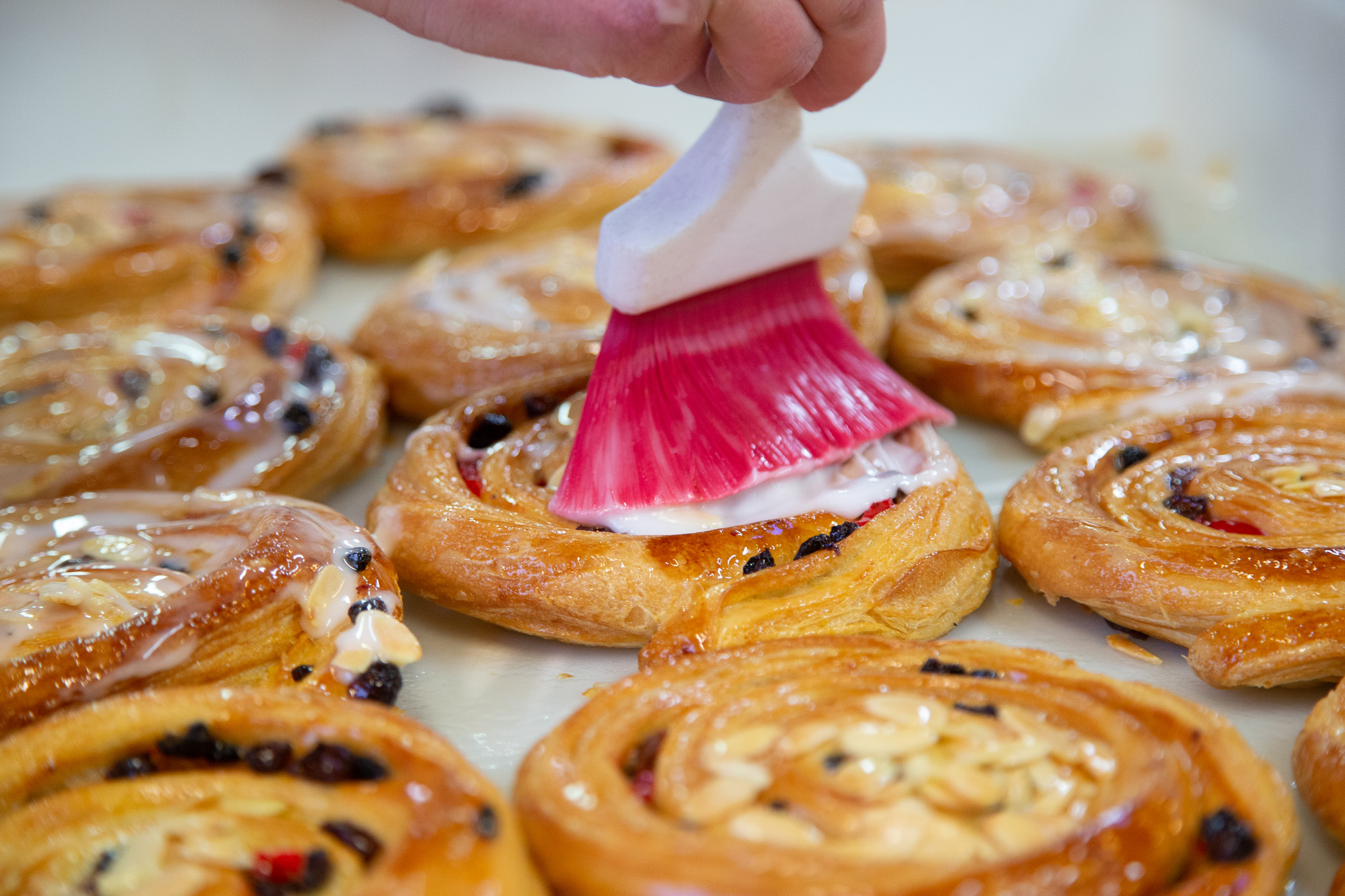 Frequently Asked Questions – Oddie's Bakery